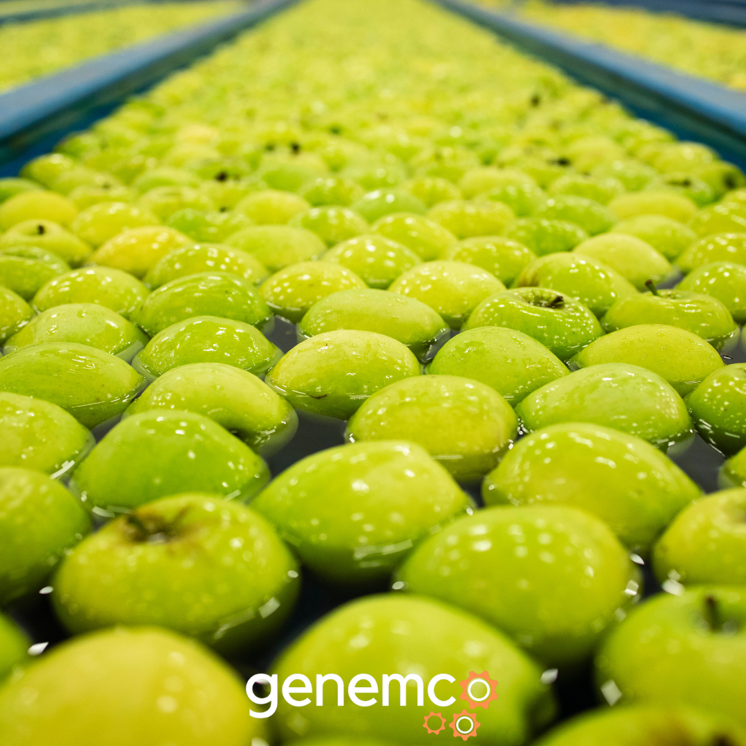 Automation Benefits in Large-Scale Fruit Processing
