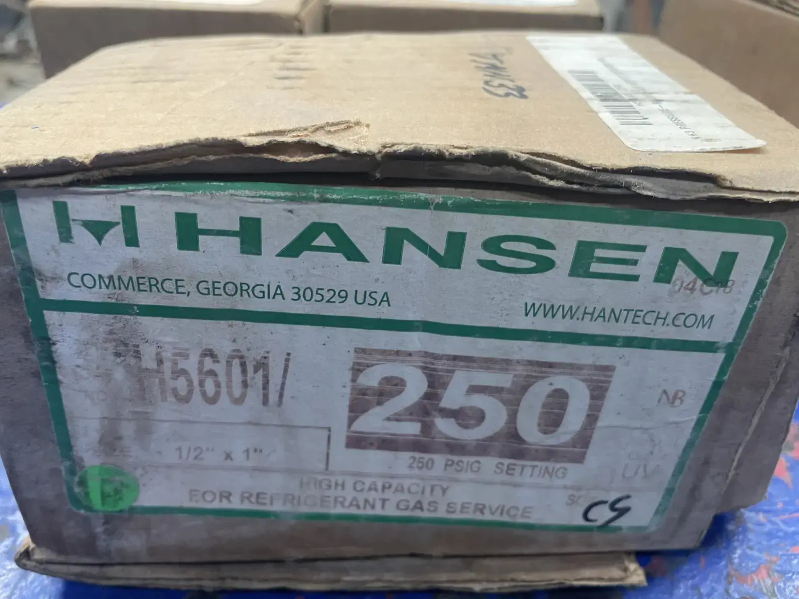 Hansen H5601 Pressure Relief Valve (1/2 in x 1 in, 250 PSI)