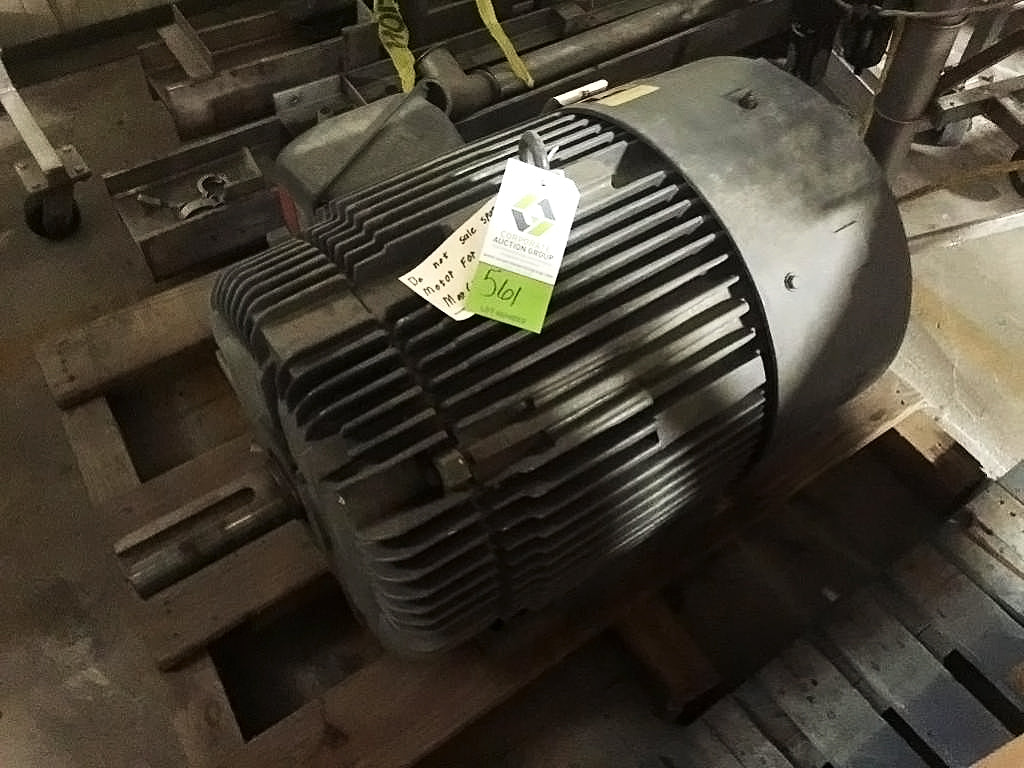 Baldor-Reliance 230/460V Electric Motor - 100 HP